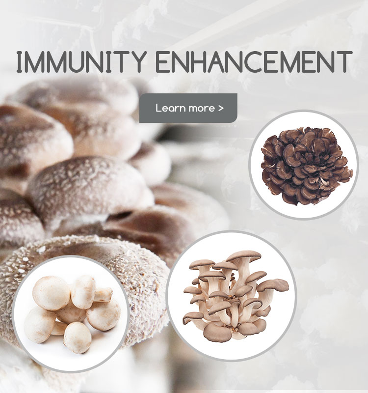 mushroom, fungus, extract, Improve immunity, Edible and medicinal fungi ...